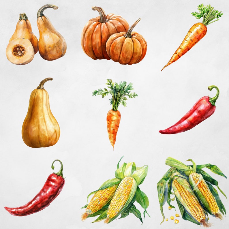Watercolor Vegetables Clipart, Food Illustration, Healthy Food, Farm ...