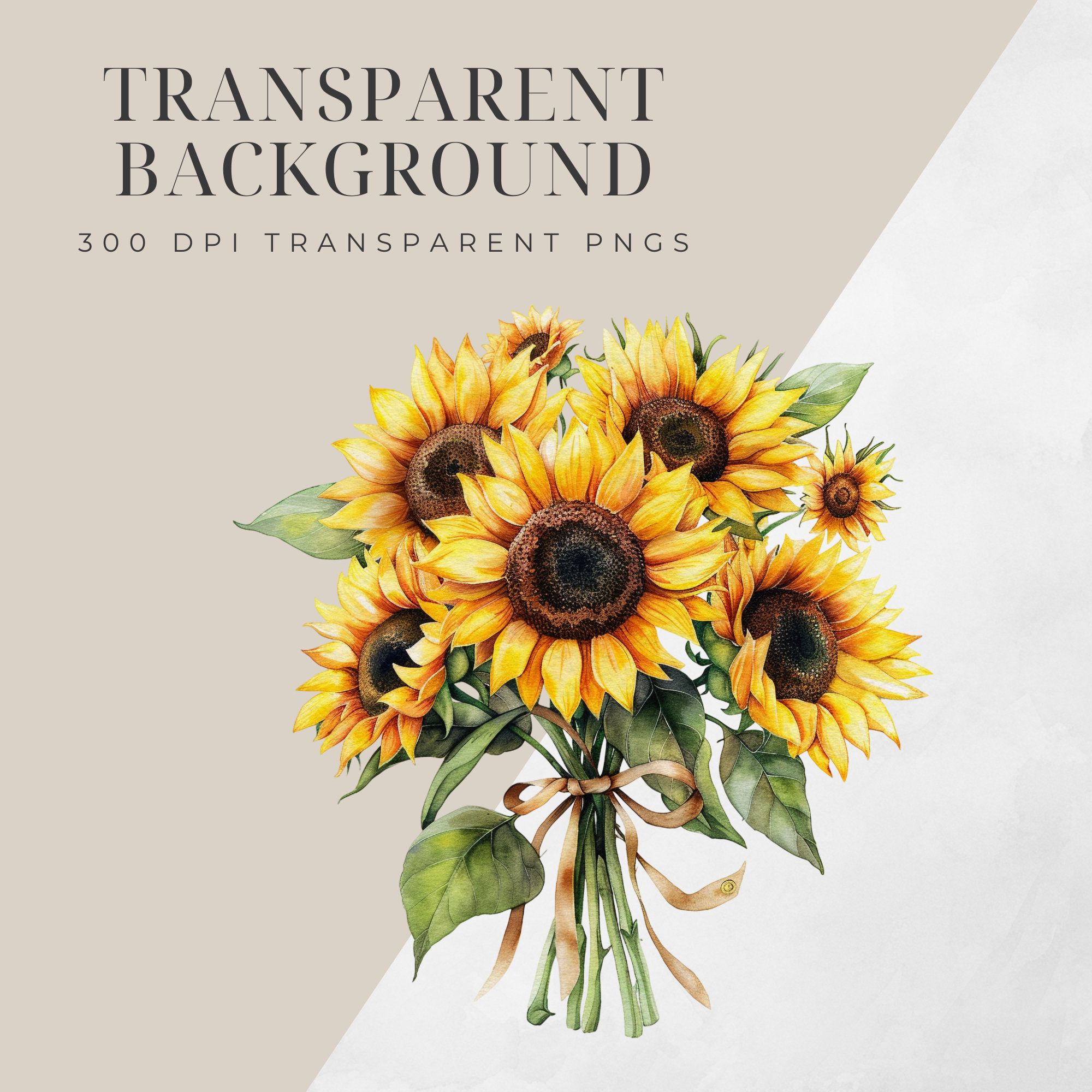 Watercolor Sunflowers Clipart, SINGLE IMAGE, Fall Flowers, Floral ...