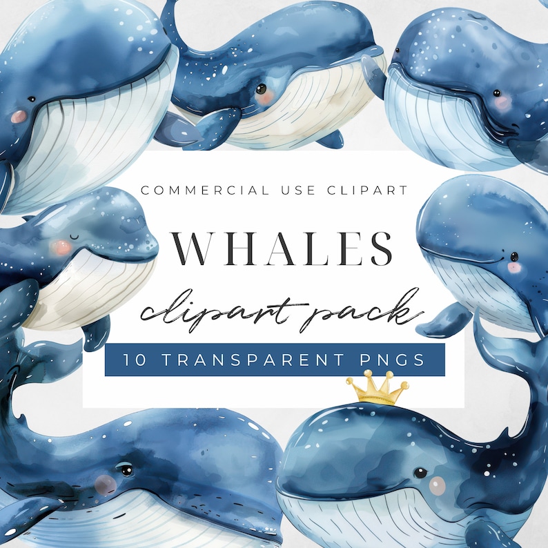 Watercolor Whale Clipart, Whales Illustration, Nursery Decor ...