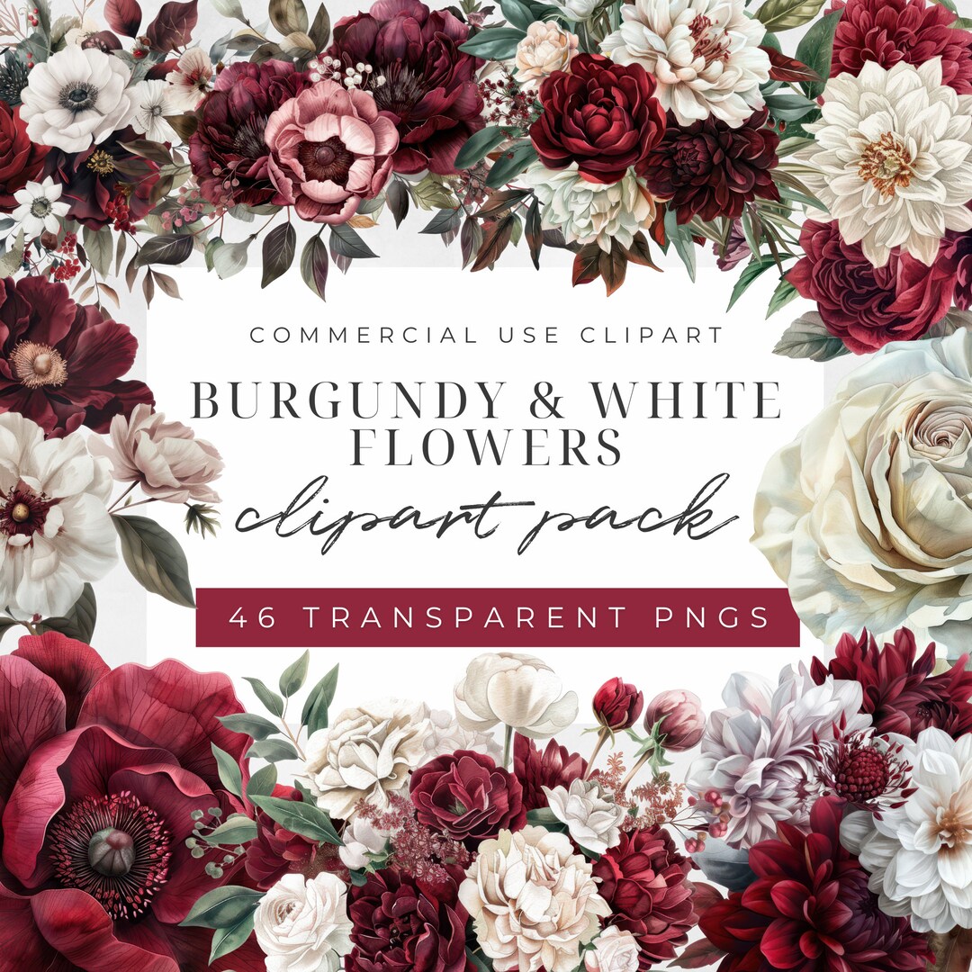 Watercolor Burgundy and White Floral Clipart, Frame & Bouquet Clipart ...