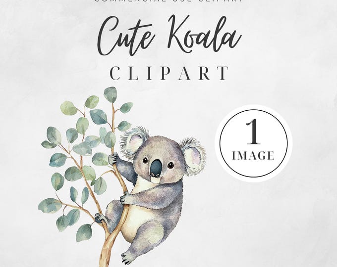 Baby Koala Clipart, Watercolor Koala Clipart, Koala PNG, Nursery ...