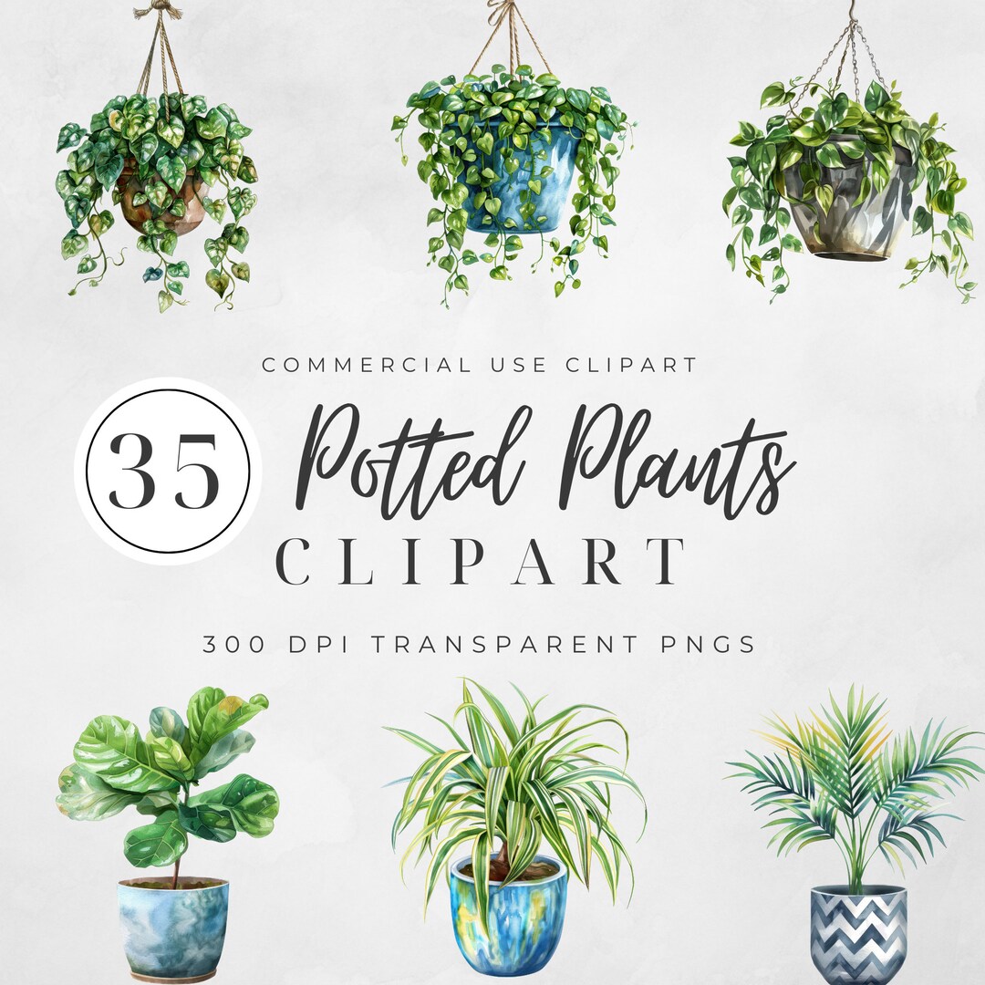 Watercolor Potted Plants Clipart, Potted Plant Graphics, Hanging Plants ...