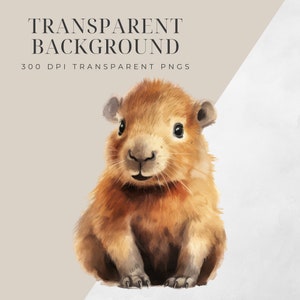 Watercolor Cute Baby Capybara Clipart, SINGLE IMAGE, Cute Capybara Png ...