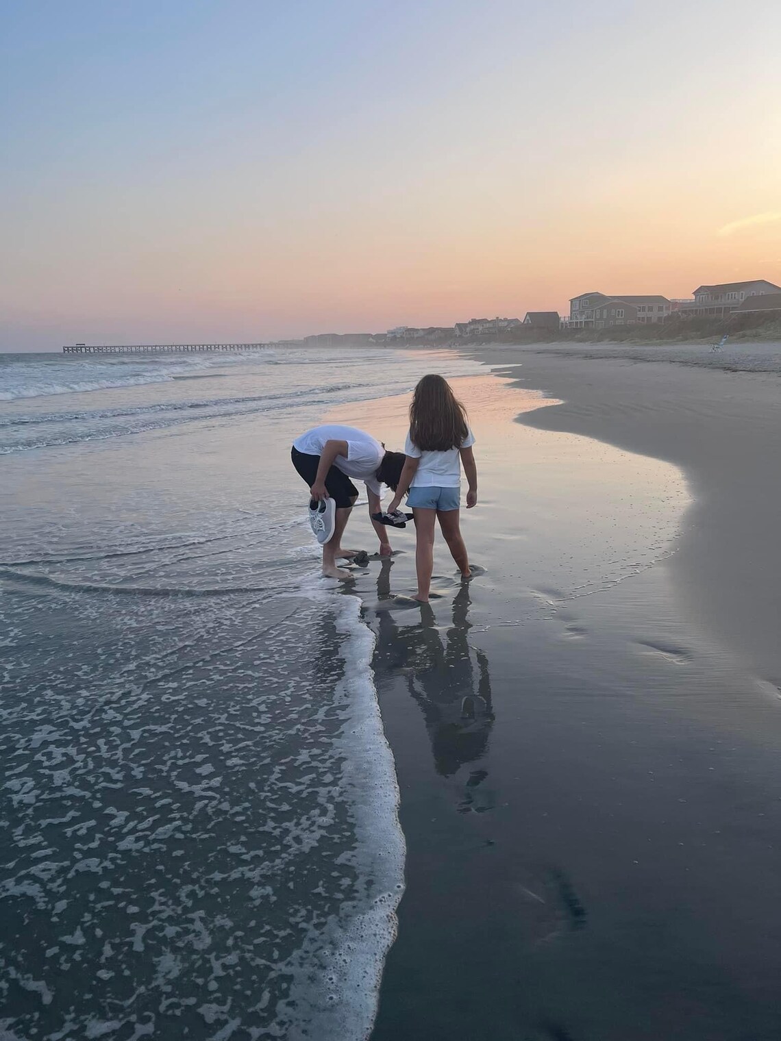 Pawleys Island Shells | Imperial Venus Clam | 1 Piece | Shells to ...