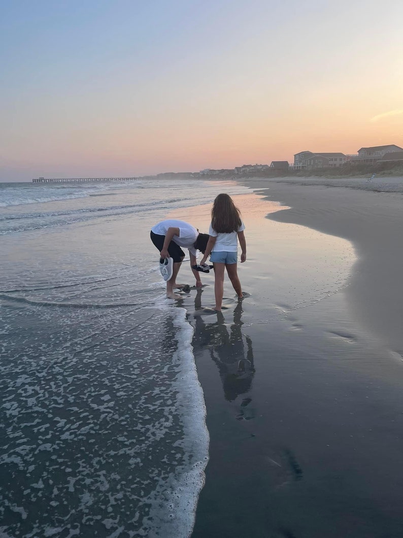 Pawleys Island Shells | Imperial Venus Clam | 1 Piece | Shells to ...