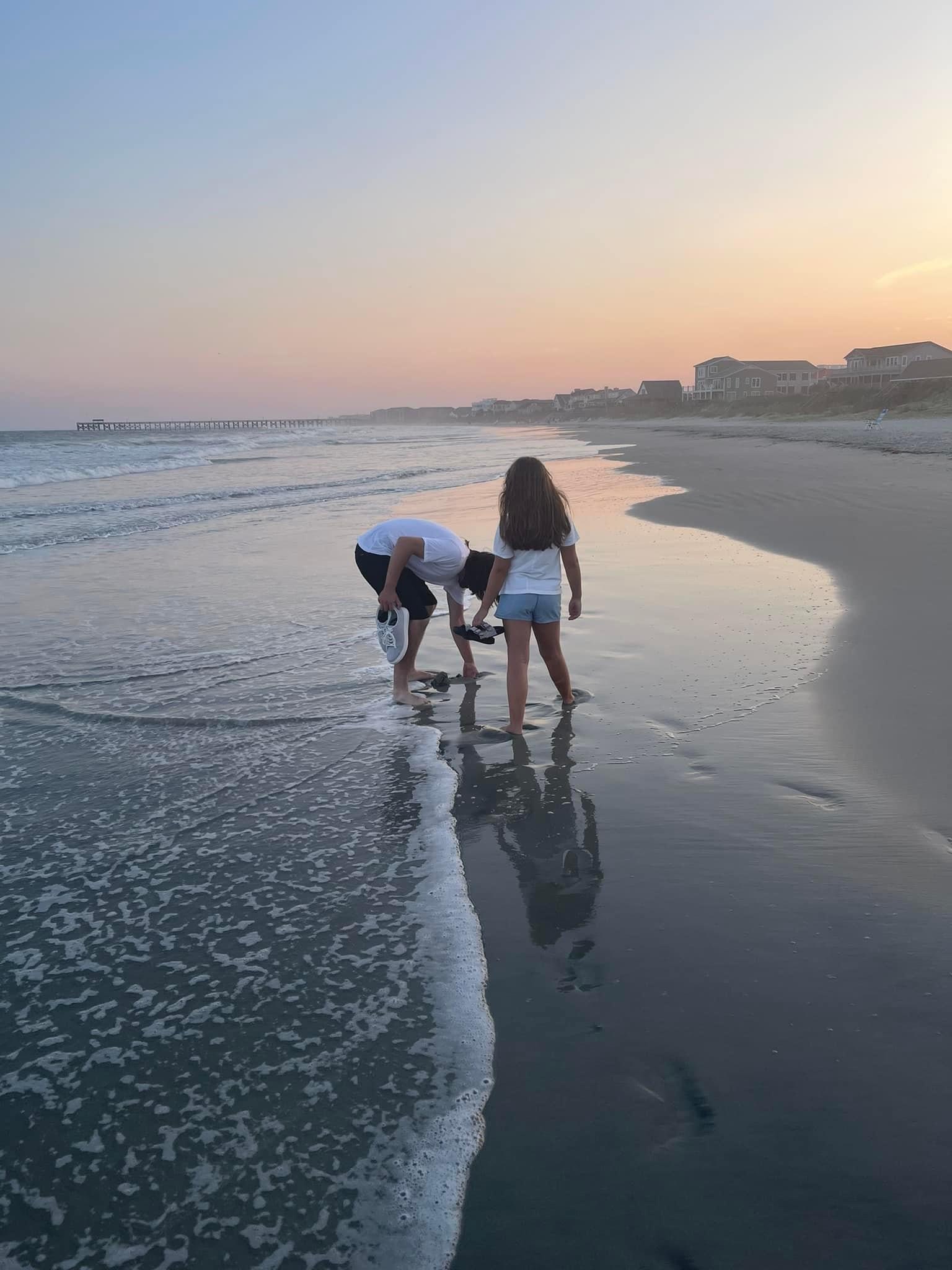 Pawleys Island Shells | Imperial Venus Clam | 1 Piece | Shells to ...