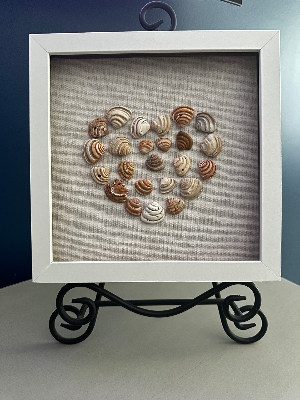 Beautiful Pawleys Island Shell Art 9 X 9 Glass Shadow Box With 24 ...