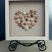 Beautiful Pawleys Island Shell Art 9 X 9 Glass Shadow Box With 24 ...