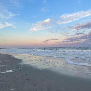 Pawleys Island Shells | Imperial Venus Clam | 1 Piece | Shells to ...