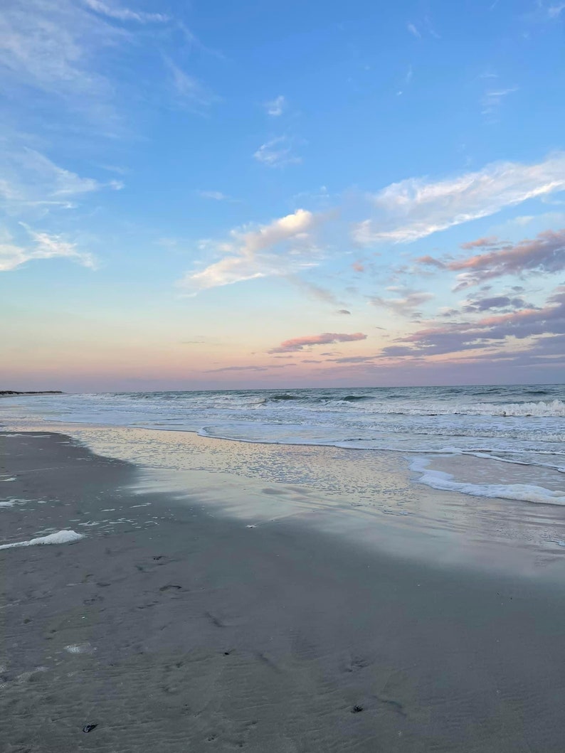 Pawleys Island Shells | Imperial Venus Clam | 1 Piece | Shells to ...