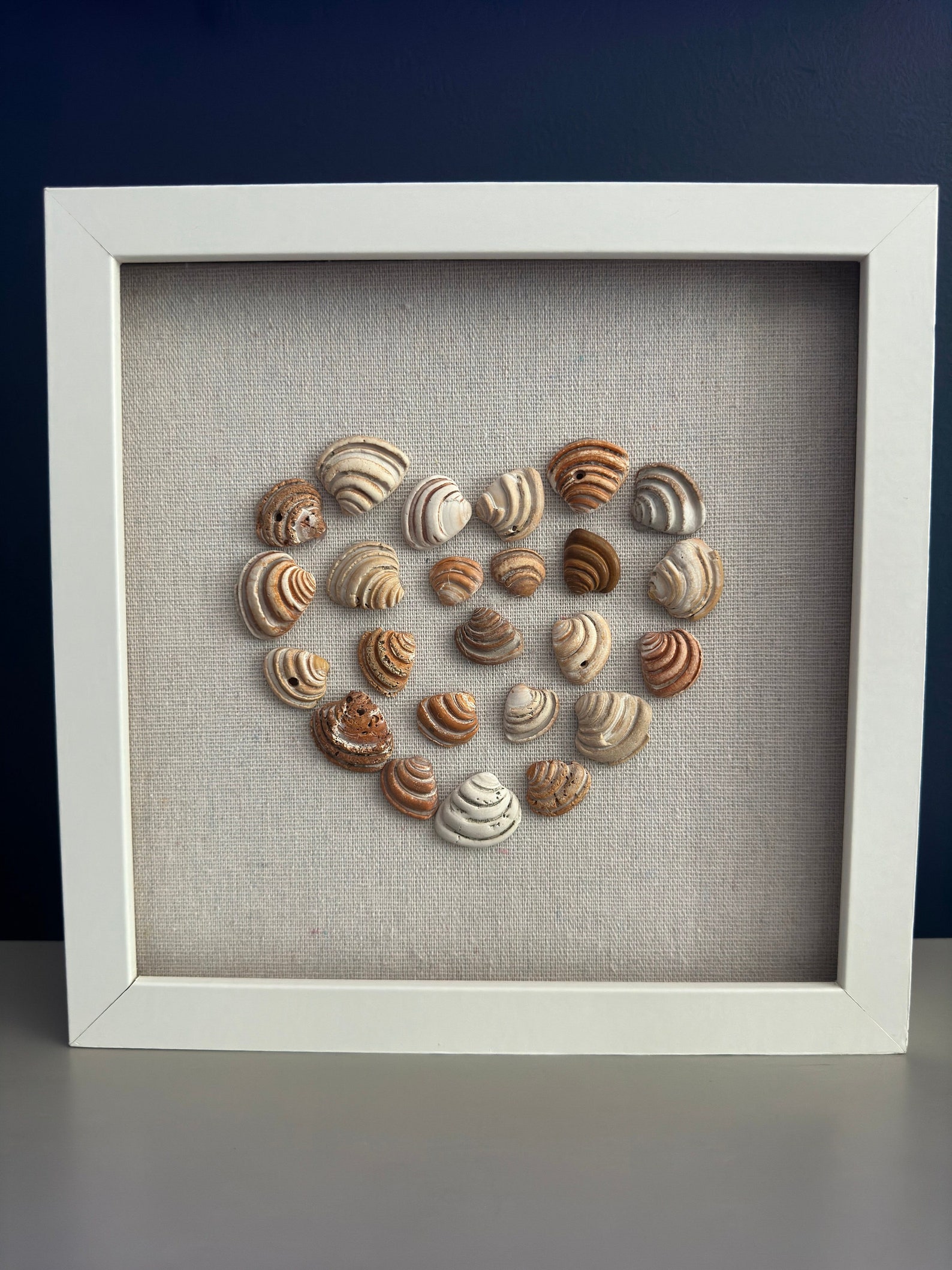 Beautiful Pawleys Island Shell Art 9 X 9 Glass Shadow Box With 24 ...