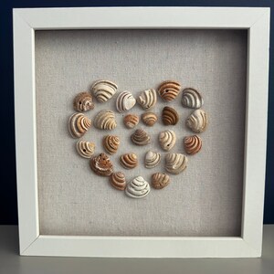 Beautiful Pawleys Island Shell Art 9 X 9 Glass Shadow Box With 24 ...