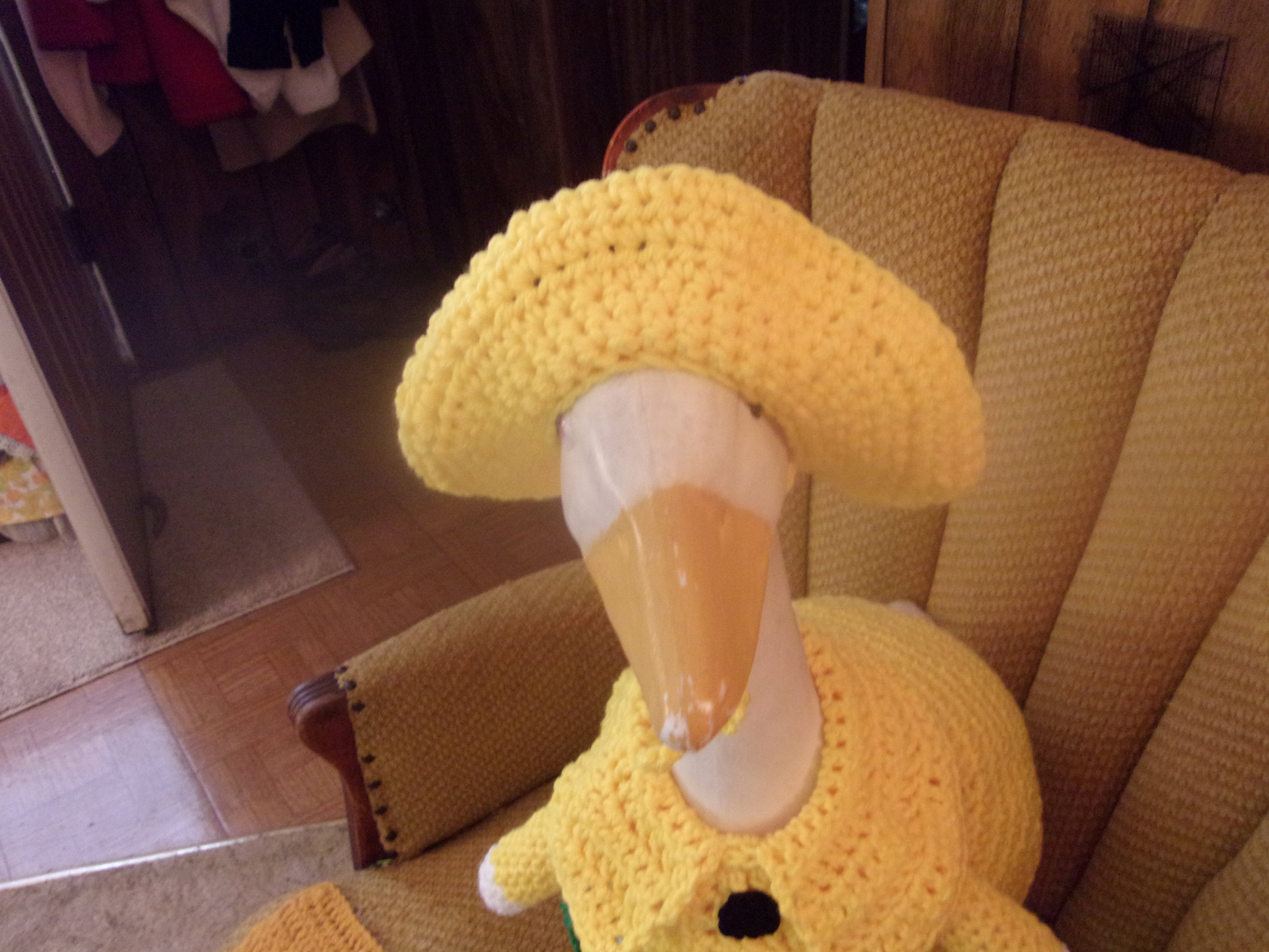 Raincoat and Frog Goose Geese Outfit Crochet Lawn Goose - Etsy