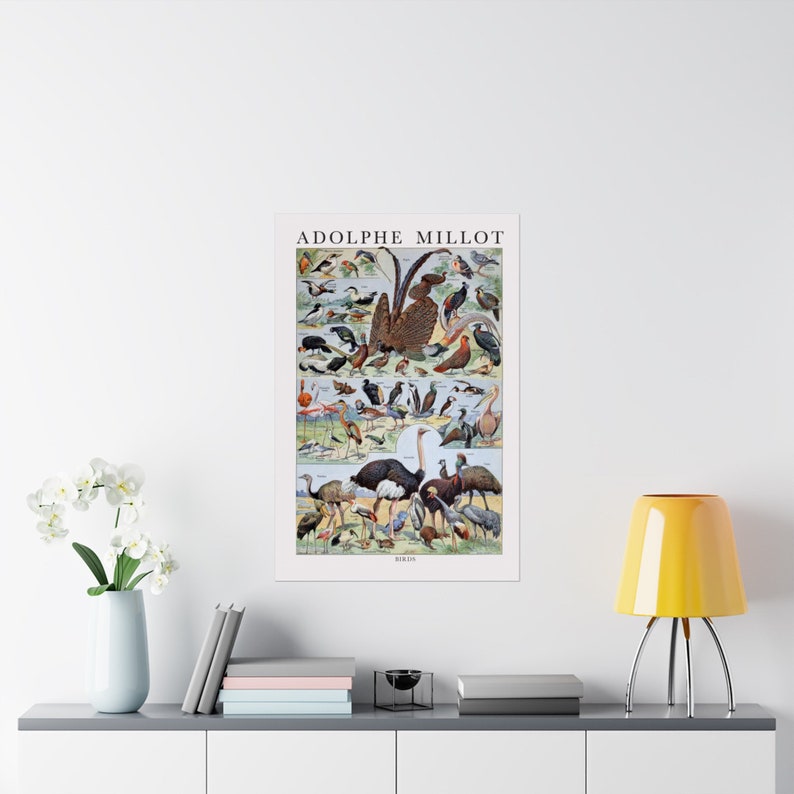 AM-B1 Vintage Bird Giclee Art Print, Bird Wall Fine Art, Adolphe Milot ...