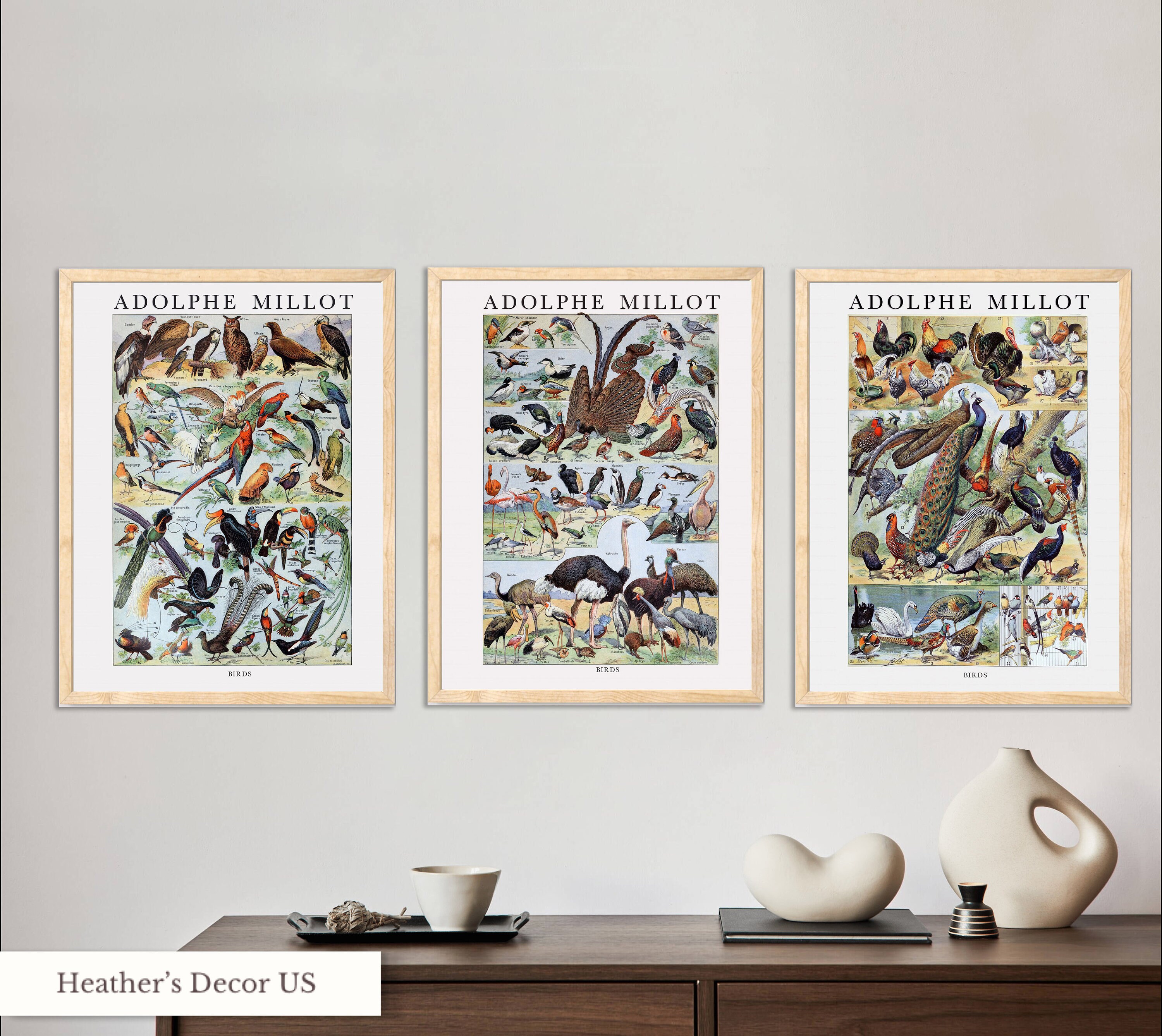 AM-B1 Vintage Bird Giclee Art Print, Bird Wall Fine Art, Adolphe Milot ...