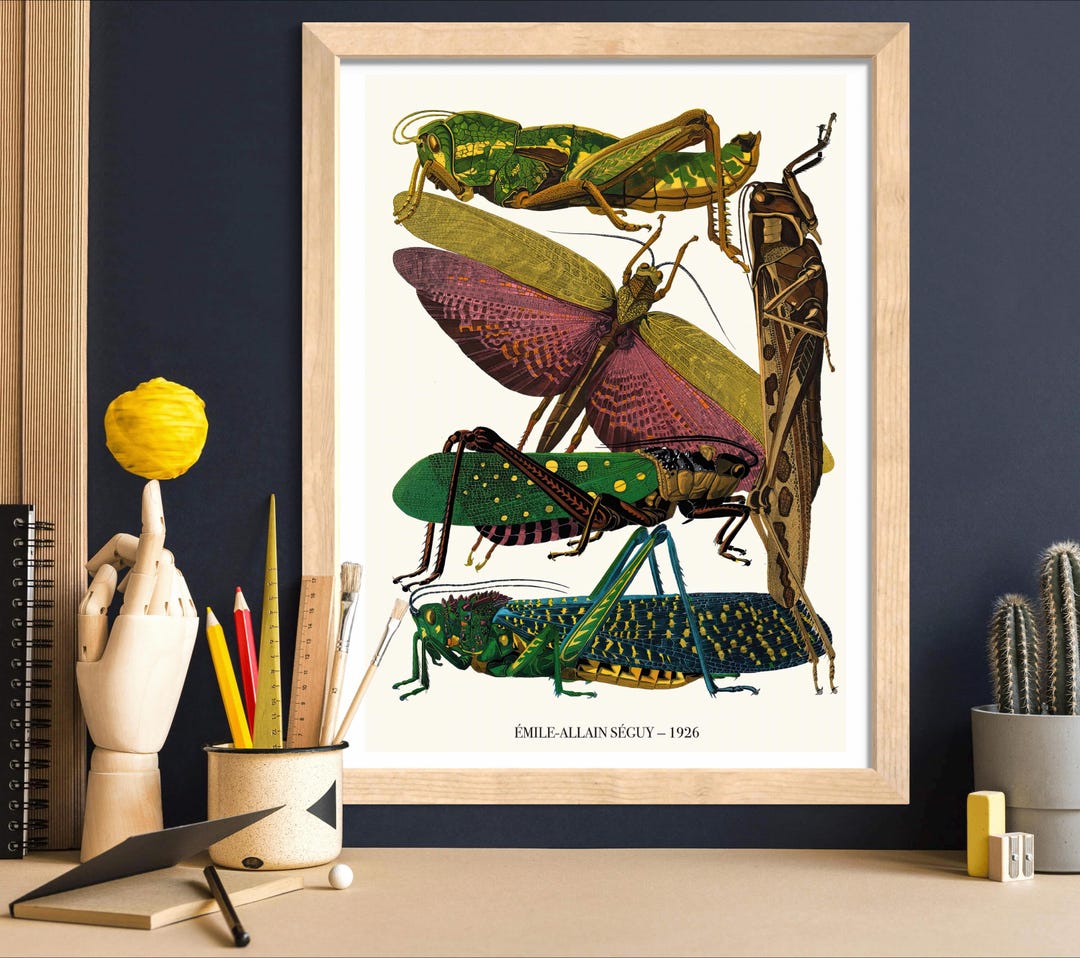 EAS-I6 Vibrant Art Nouveau Insect Illustration, Vintage Reproduction ...