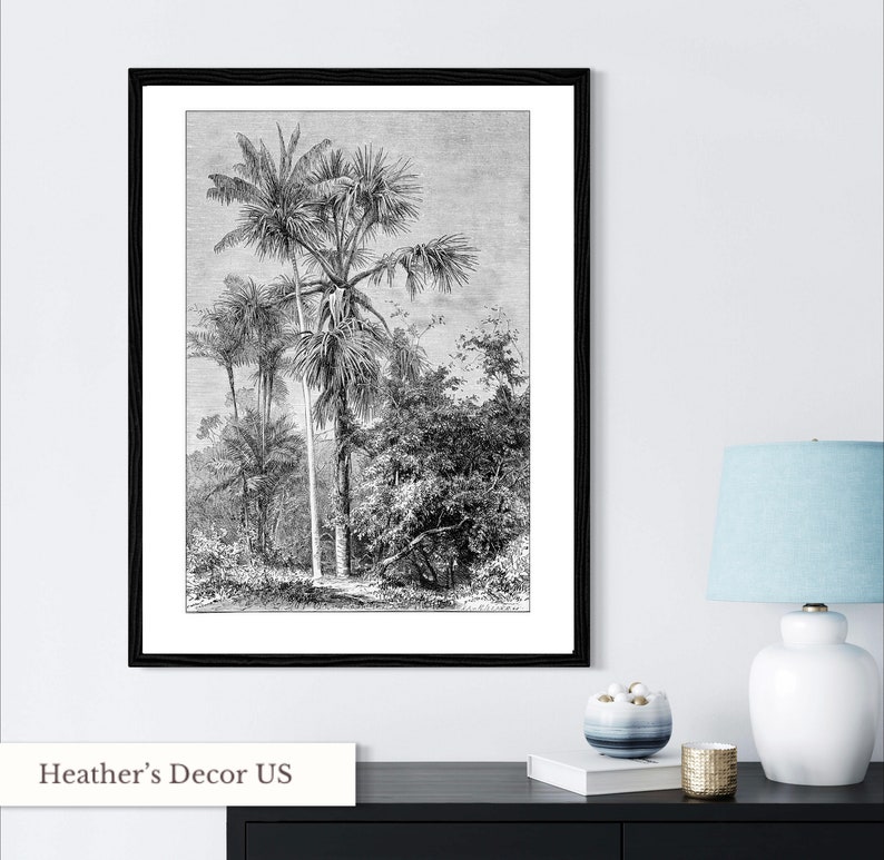 OKP14 Vintage Palm Tree Landscape Engraving Reproduction, Tropical ...