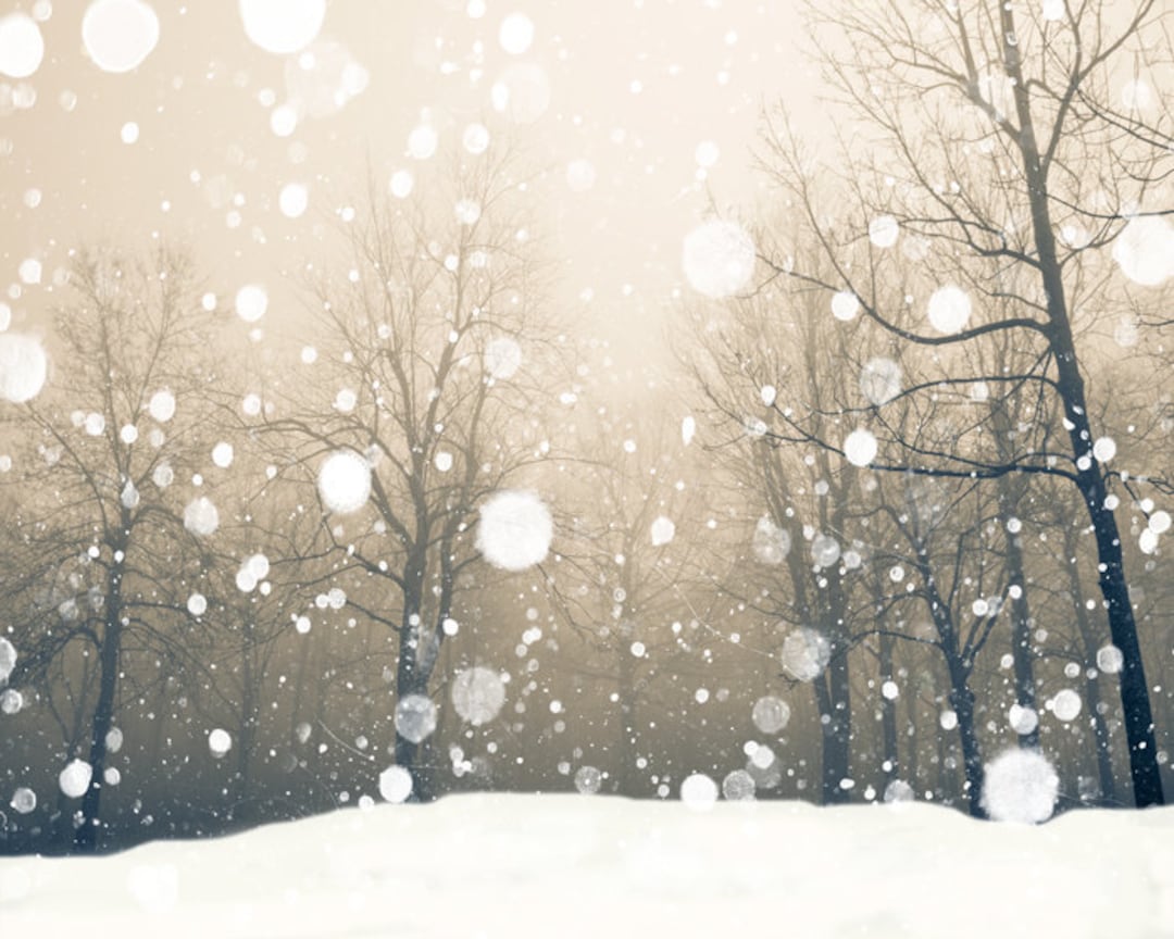 Snowflakes, Falling Snow, Snow Photography, Snow Photo, Sepia Photo ...