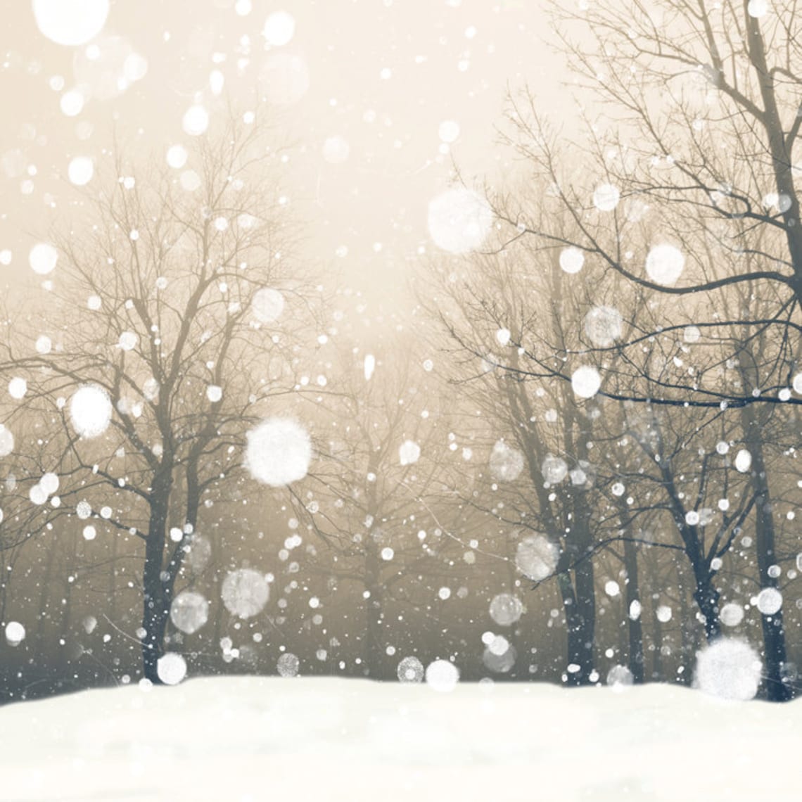 Winter Photography Falling Snow Forest Neutrals Snowflakes - Etsy