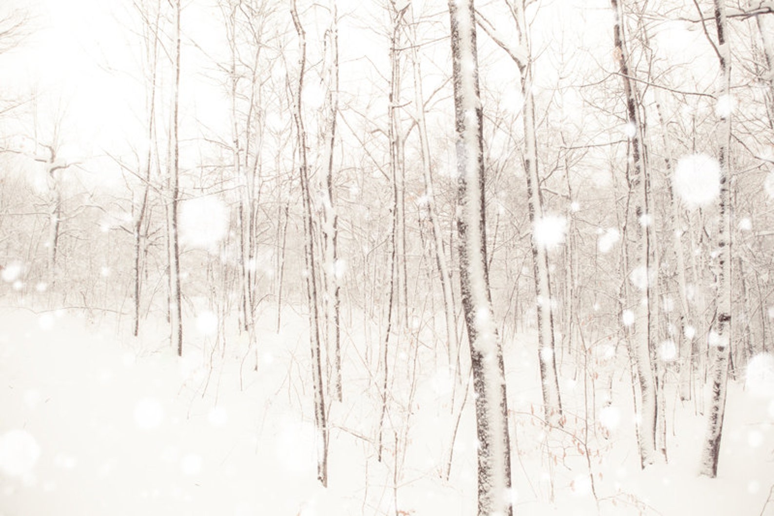 Winter Photography Snow Falling Snow Wonderland Beige - Etsy