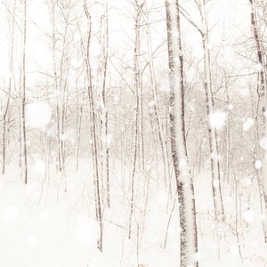 Winter Photography Snow Falling Snow Wonderland Beige - Etsy