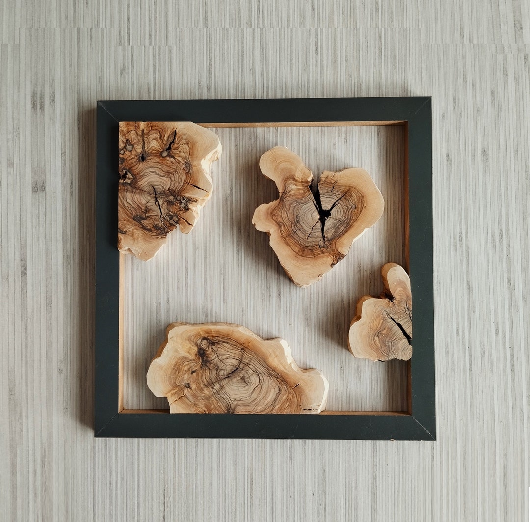 Olive Wood Slabs, Natural Olive Wood, Olive Wood Pieces, Olive Wood for ...