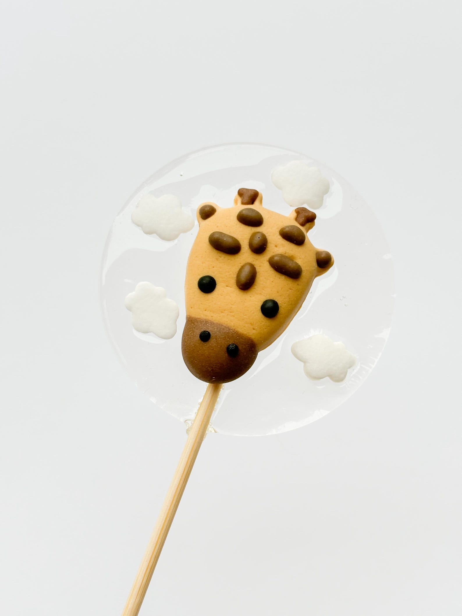 Safari Lollipop, Jungle Candy, Wild Lollipop, Personalized Candy ...