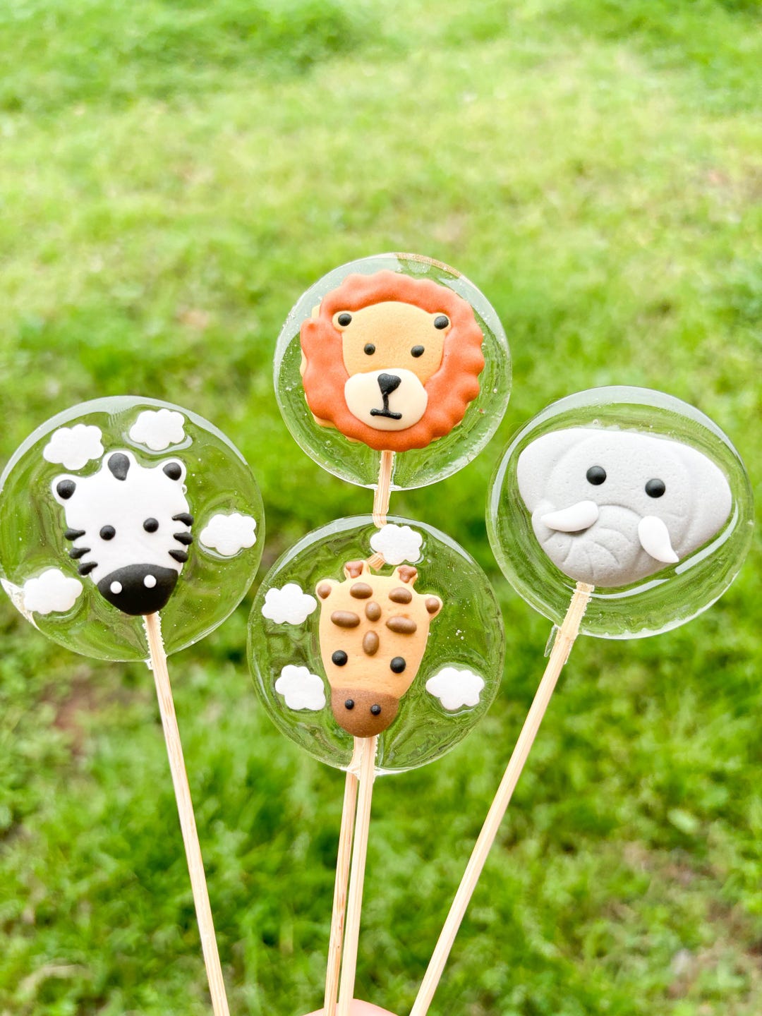 Safari Lollipop, Jungle Candy, Wild Lollipop, Personalized Candy ...