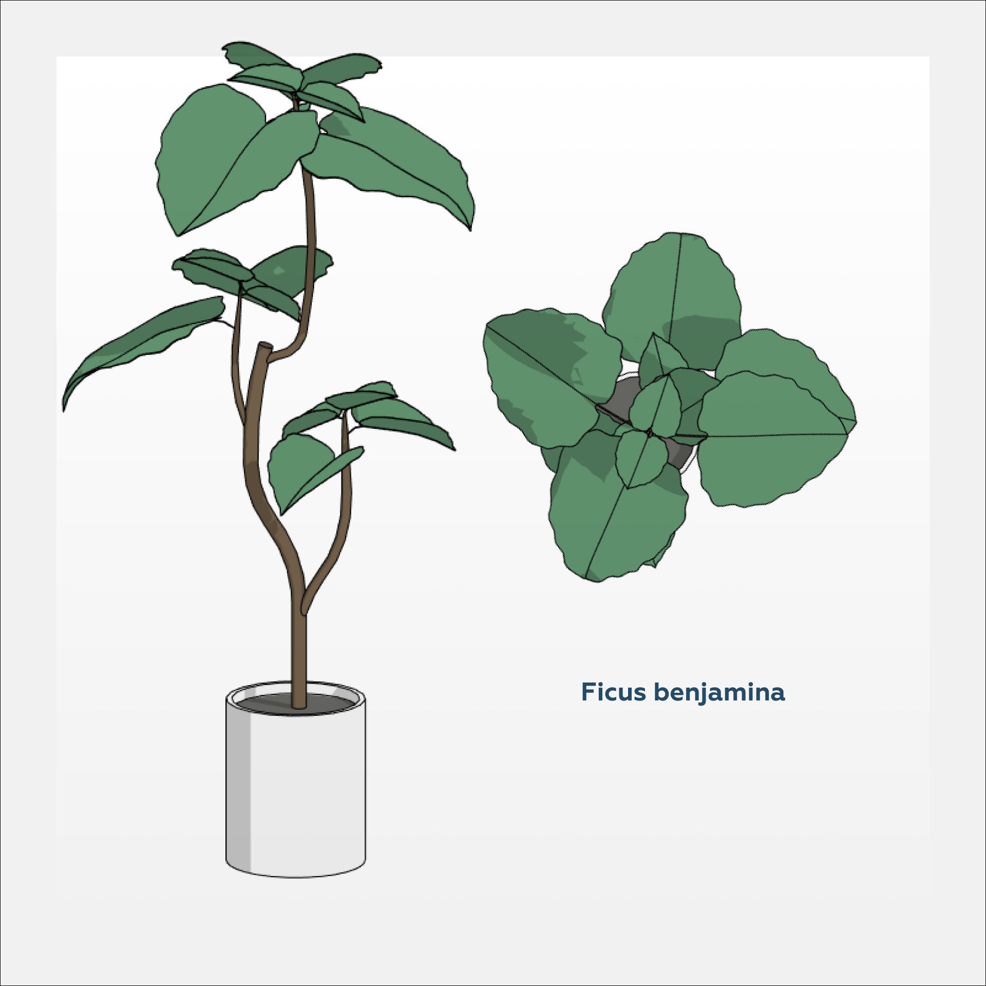 Plants Revit Families for Interior Designers - Etsy UK