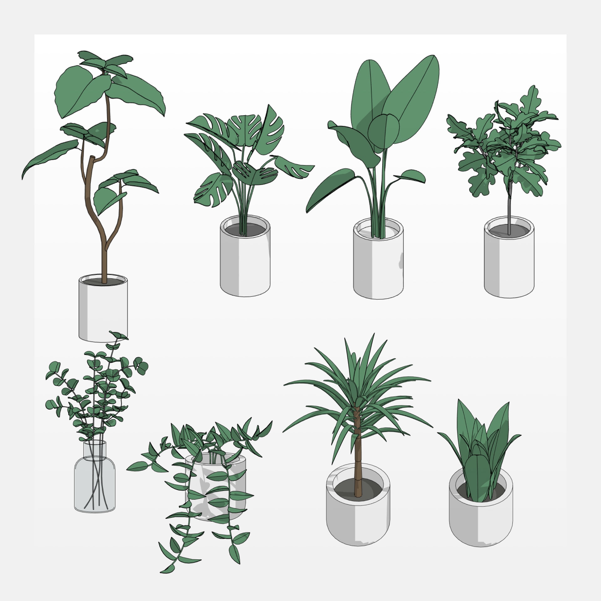 Plants Revit Families for Interior Designers - Etsy