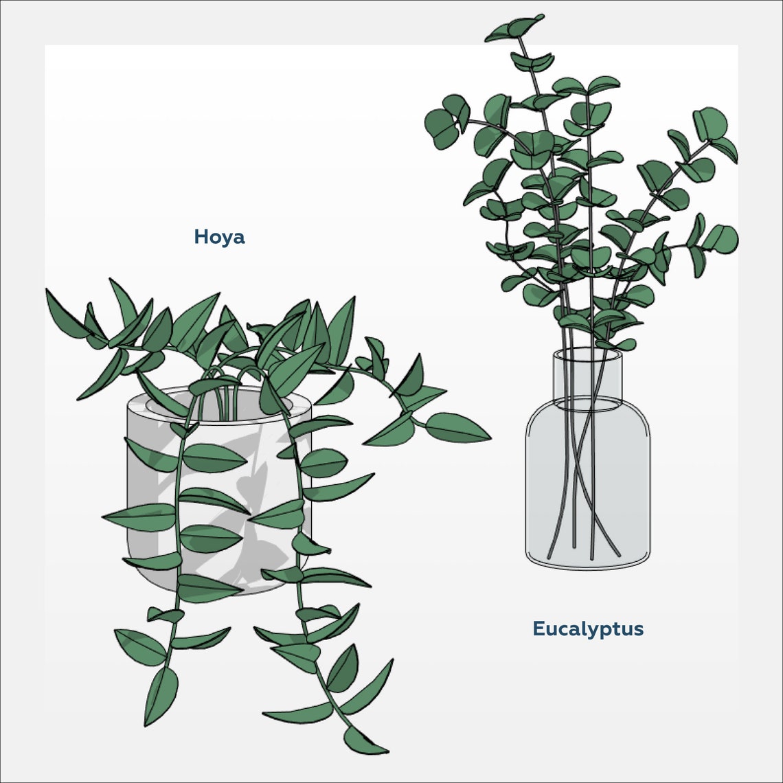 Plants Revit Families for Interior Designers - Etsy UK
