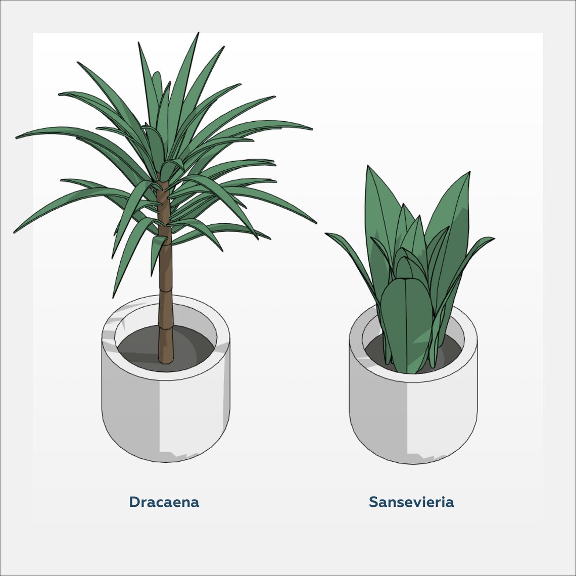 Plants Revit Families for Interior Designers - Etsy UK