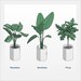 Plants Revit Families for Interior Designers - Etsy UK