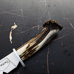 Supernatural Knife: Ruby's Demon Killing Replica Knife Ruby's Cosplay ...