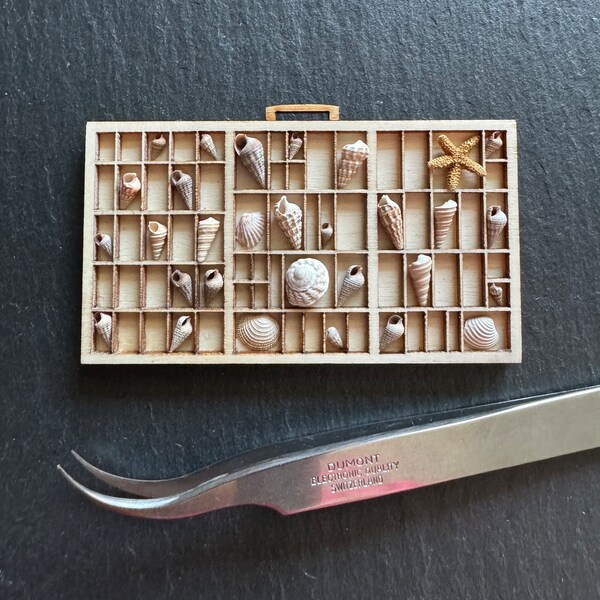 Printers Tray - Etsy