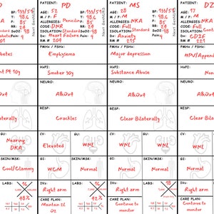Nurse Notes Brain Sheet - Ultimate Organizer for Shift Planning ...