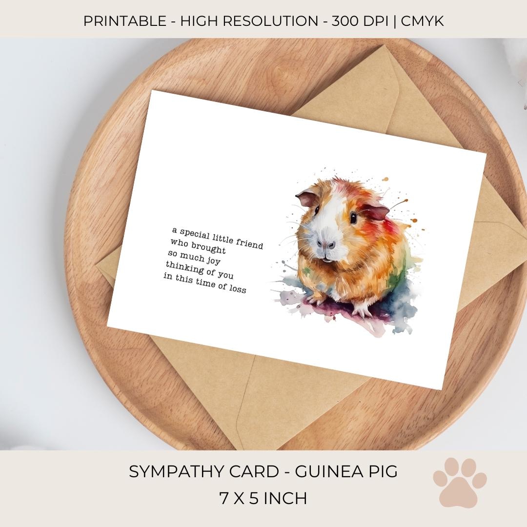 Sympathy Card Guinea Pig | Loss of Guinea Pig | Loss of Pet | Rainbow ...