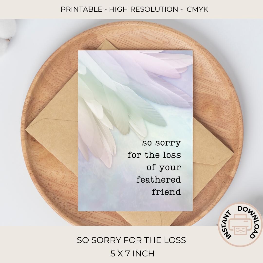 Bird Sympathy Card | Pet Support | Loss of Parrot, Parakeet | Loss of ...