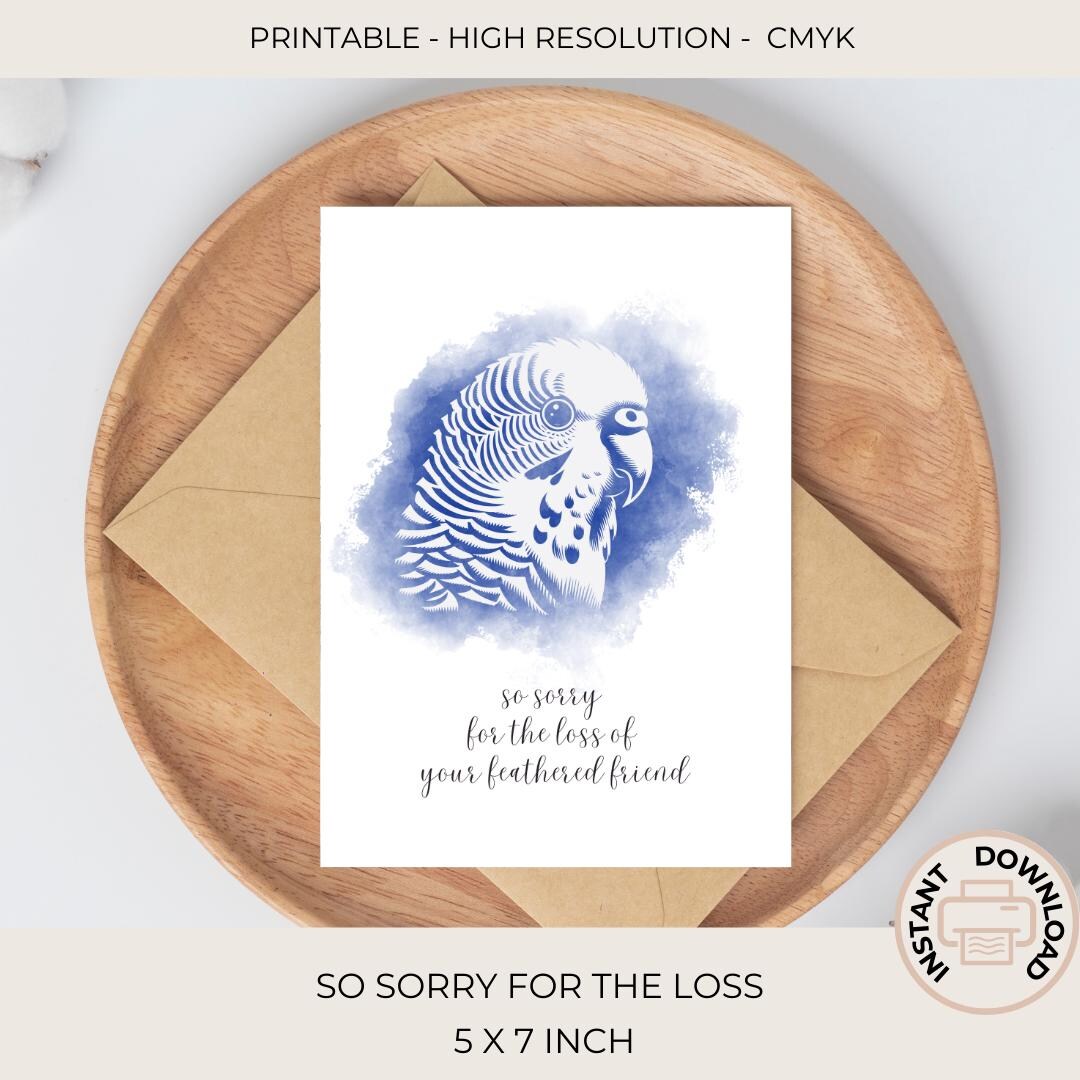 Bird Loss Card | Budgie Sympathy Card | Pet Sympathy Card | Parrot ...