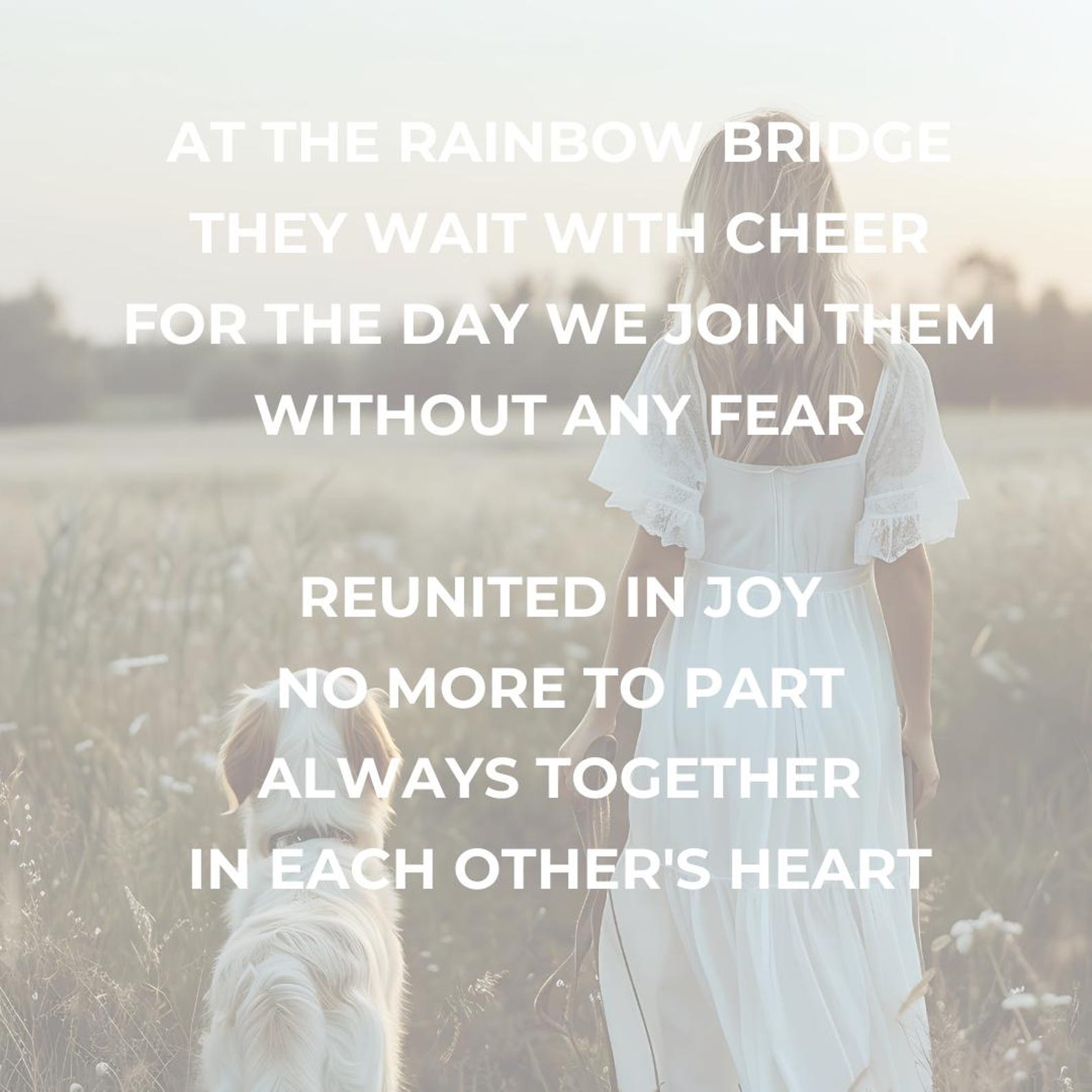 Rainbow Bridge Poem Typewriter | Pet Sympathy Card Digital | Dog ...