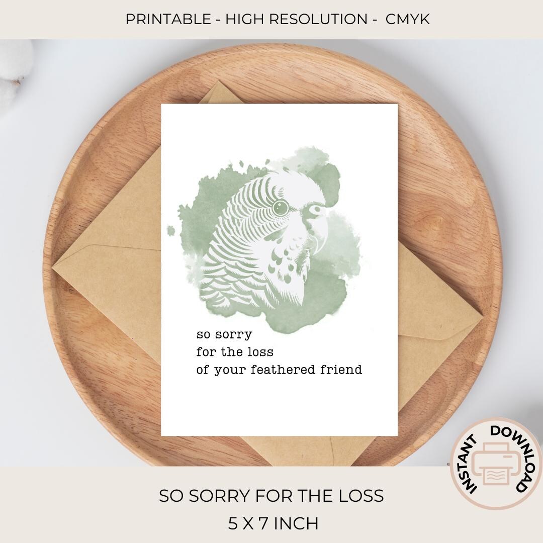 Loss of Parrot | Loss of Budgie | Pet Sympathy Card Digital | Parrot ...