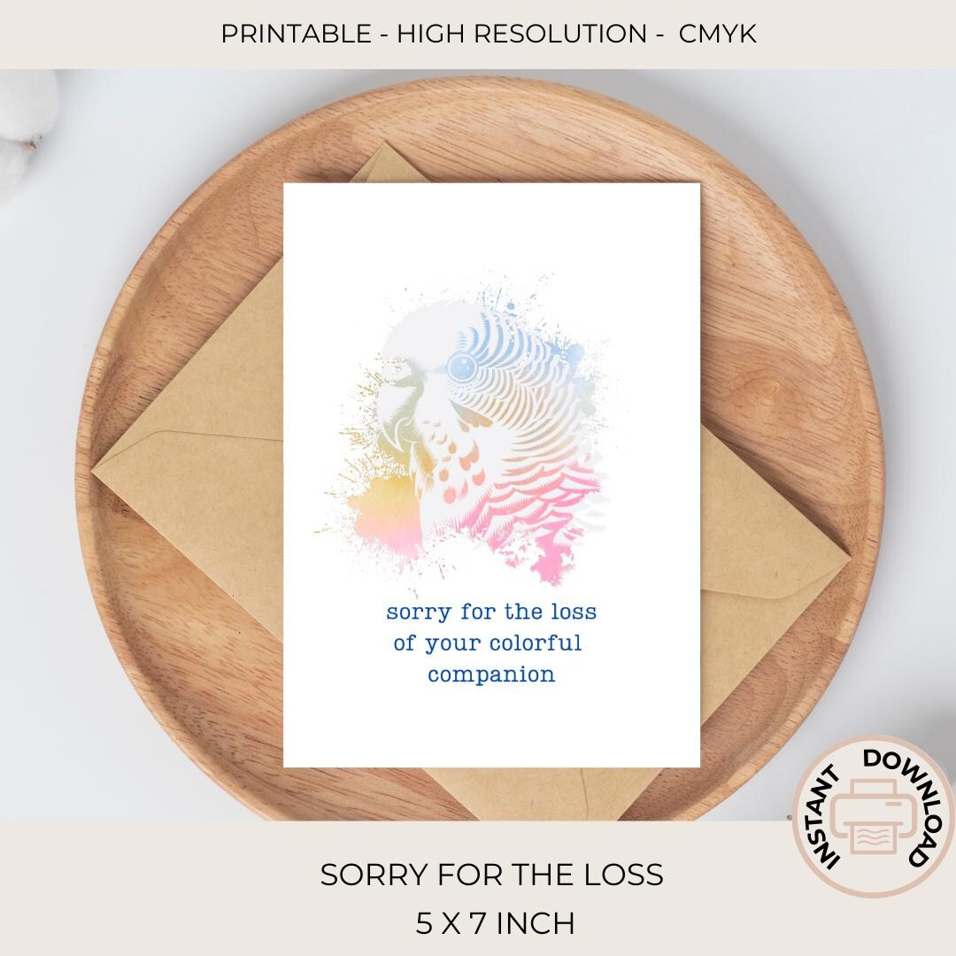 Bird Sympathy Card | Pet Support | Loss of Parrot | Loss of a Parakeet ...