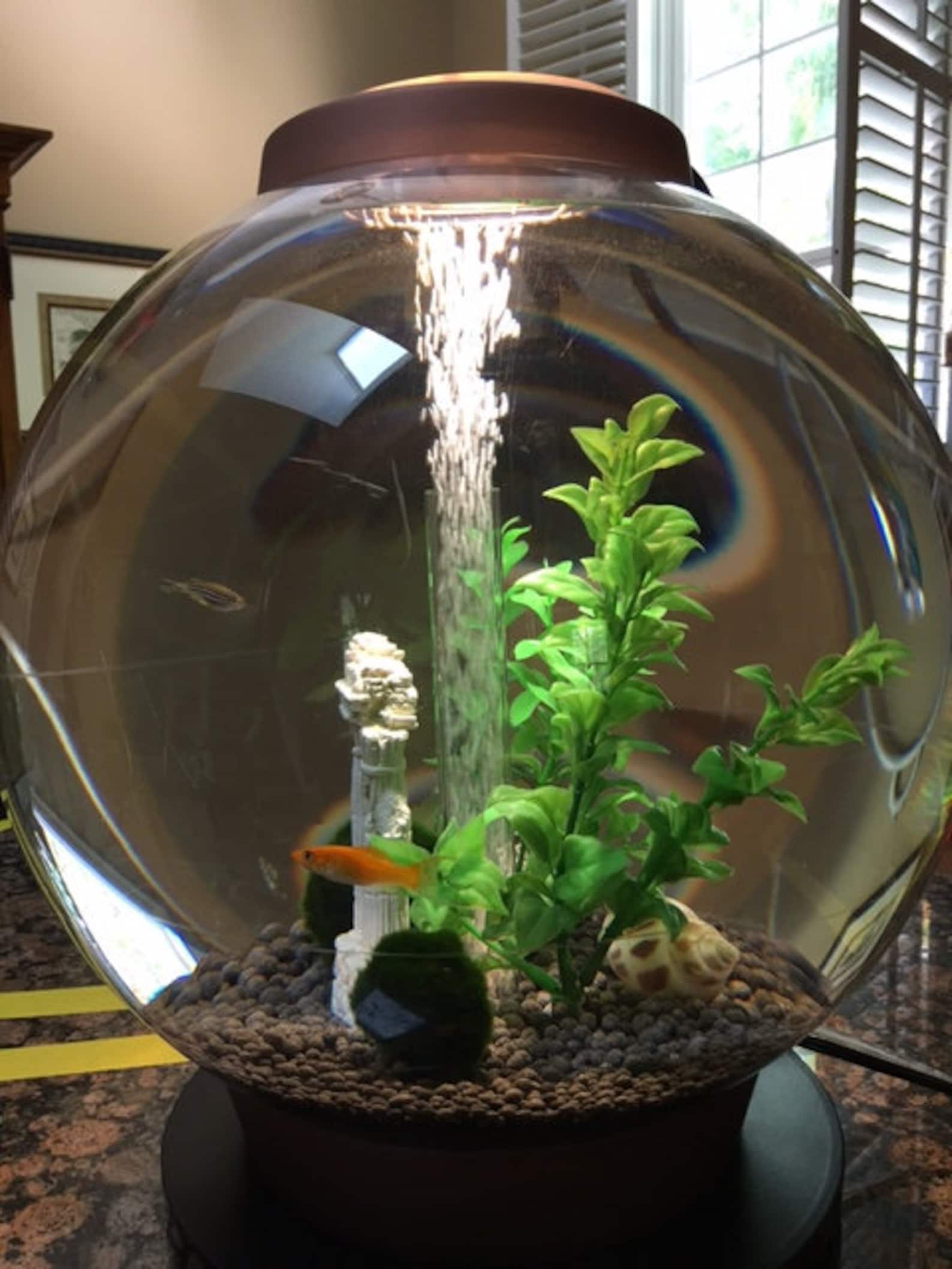 Full Biorb Upgrade Kit (with Free Filter Starter Balls) - Etsy UK