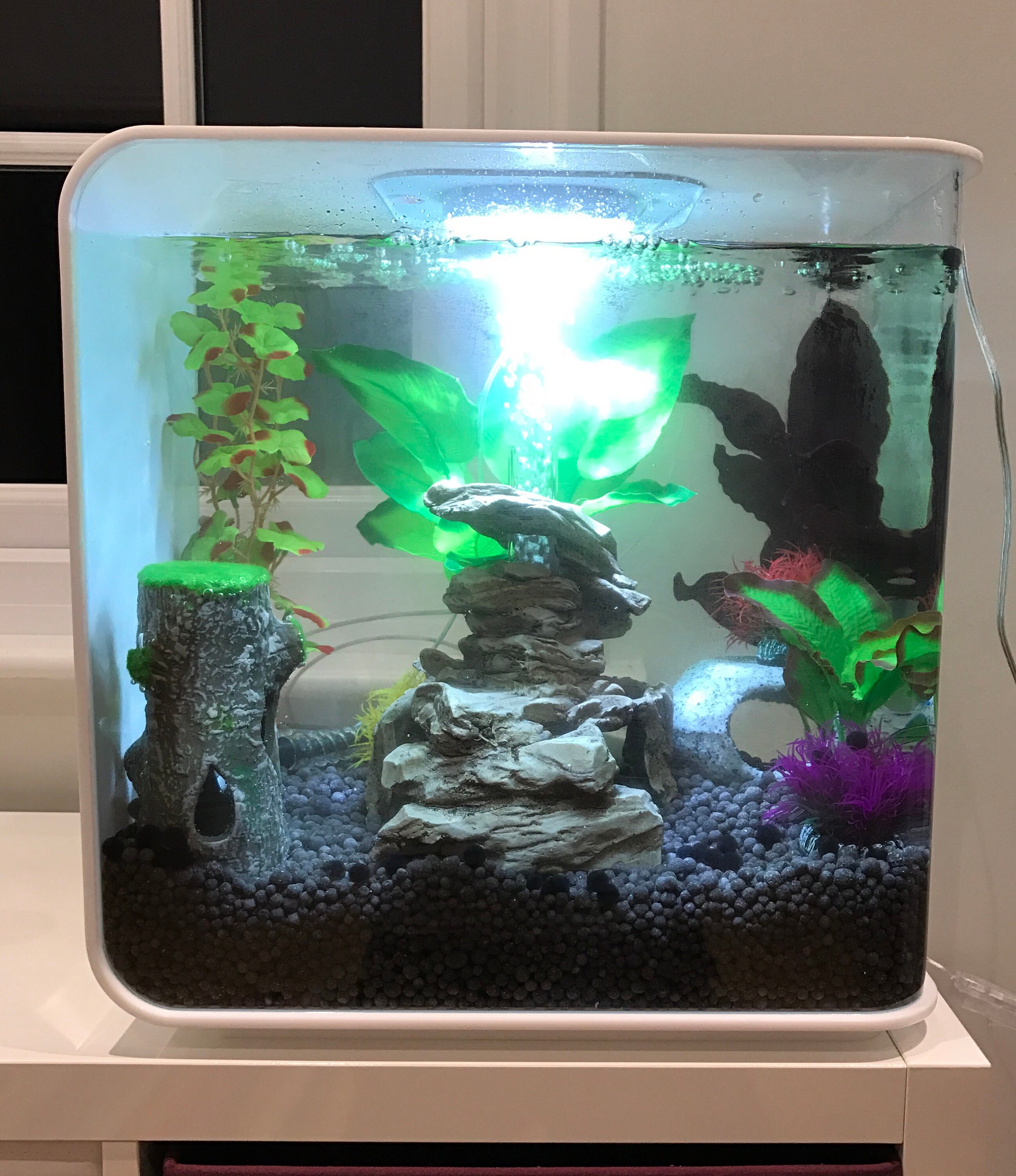 Full Biorb Upgrade Kit (with Free Filter Starter Balls) - Etsy UK