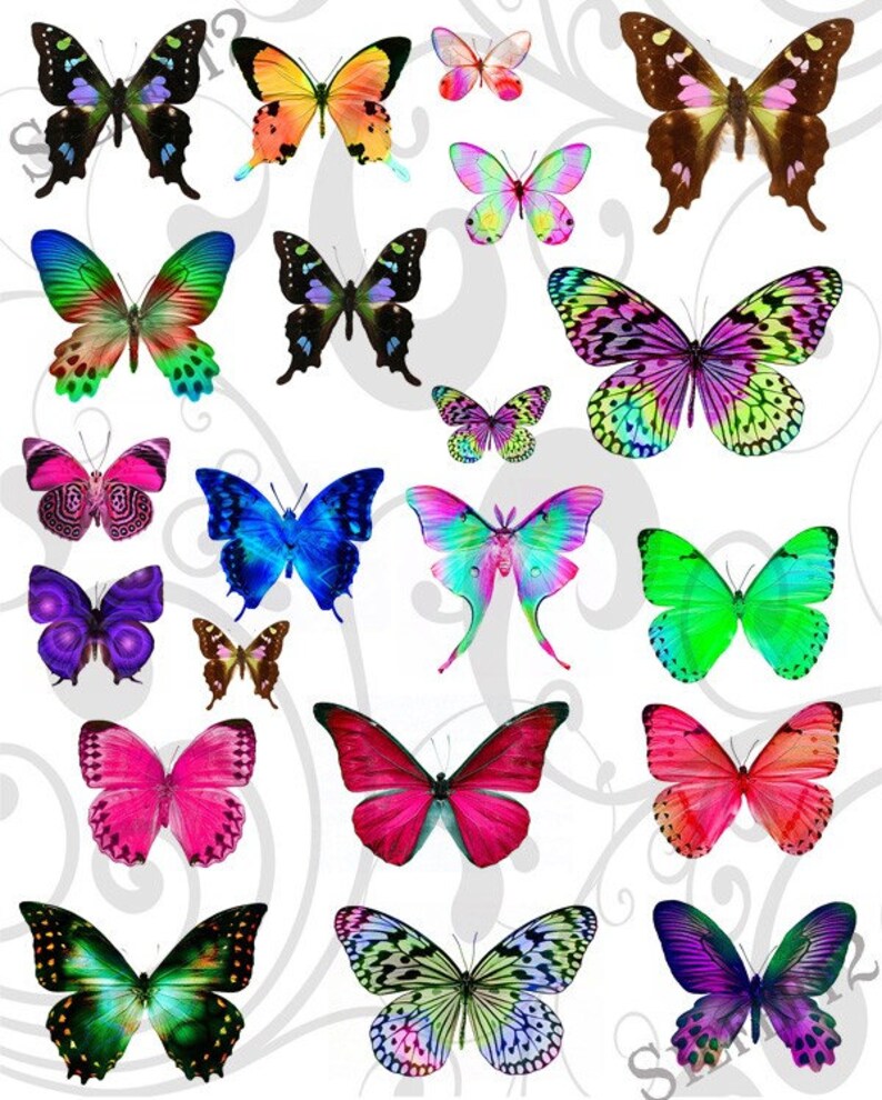 Collage de fantasía mariposas hoja 1fb que obtendrá una hoja - Etsy España