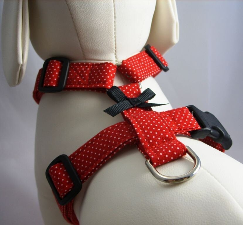 Dog Harness Red Pin Dot - Etsy