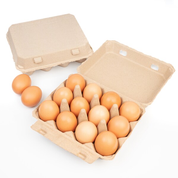 Egg Cartons - Etsy