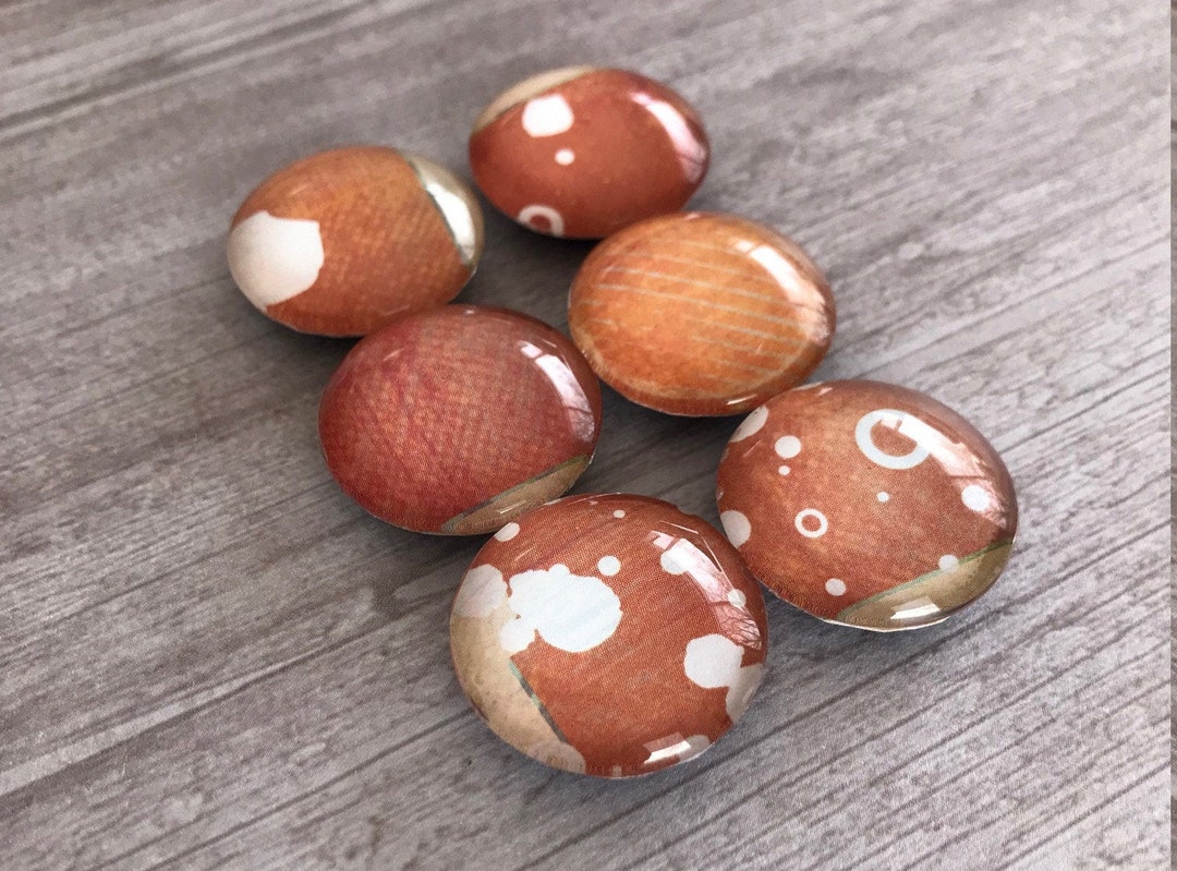 Orange Splash Magnets. Set of 6, 1 Inch (25mm) Round Glass Magnets for ...