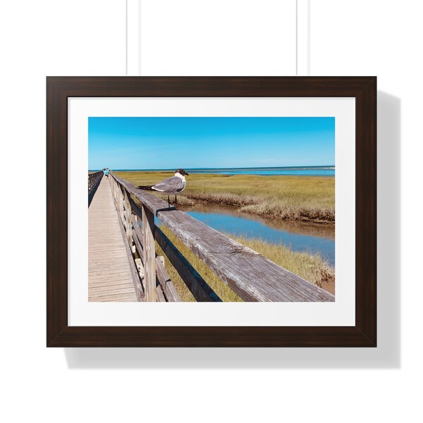 Cape Cod Bay - Etsy