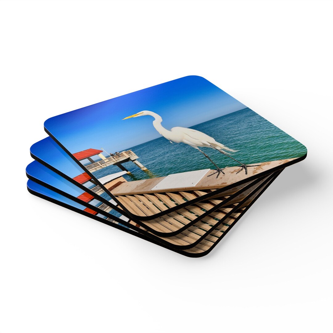 Coffee Time With the Great Egret From the Coast of Florida, Clearwater ...